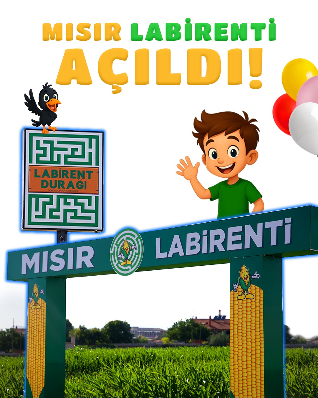 Anasayfa - labirentduragi.com